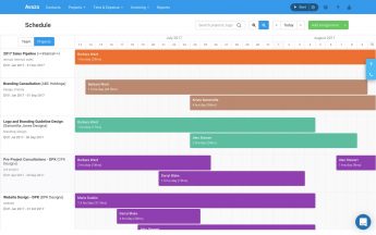 Project Resource Scheduling II: Manage Resources Effectively