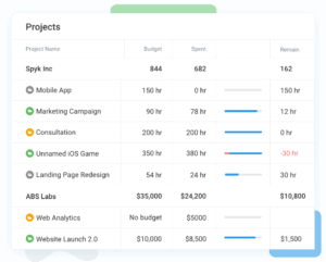 Avaza - Business Reporting