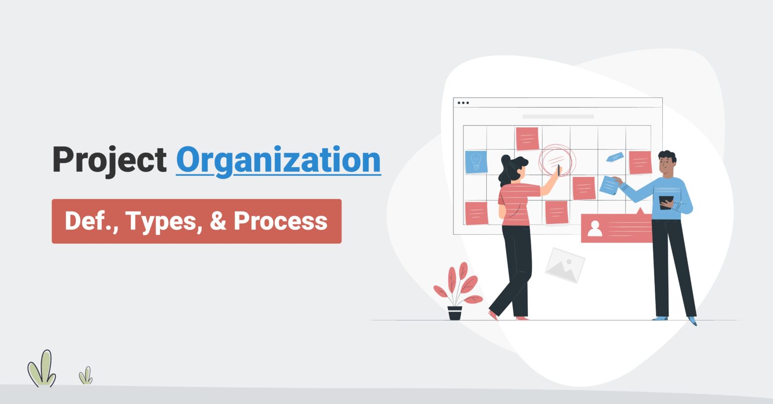 Project Organization: Definition, Types, & Process